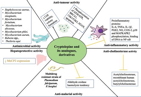 Diagram With The Relevant Pharmacological Properties Of Cryptolepine