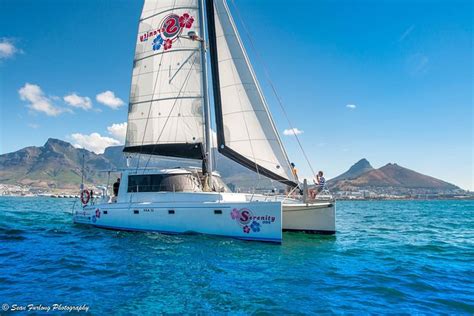 Champagne Cruise Pre Sunset From Cape Town 2026 Book Now