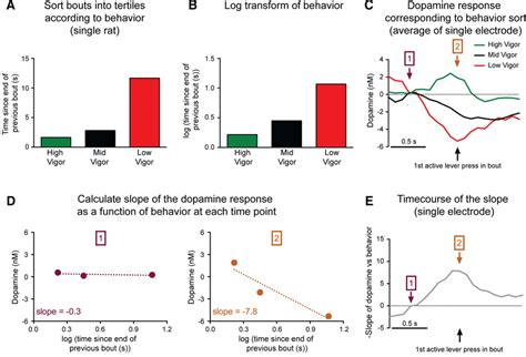 Illustration Of The Method To Quantify The Relationship Between The