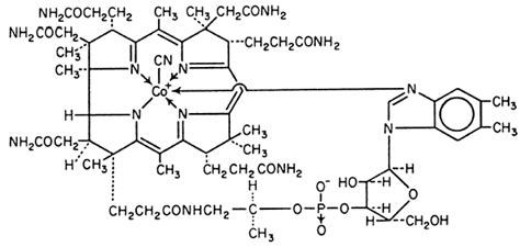 Cyanocobalamin Cyanocobalamin Side Effects Uses Dosage Interactions Warnings