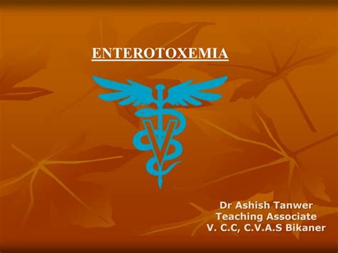 Enterotoxemia Ppt Ppt