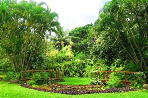 The Independent Travelers Guide To Rarotonga X Days In Y