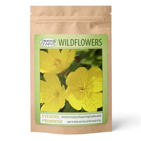 Evening Primrose Seeds Created By Nature