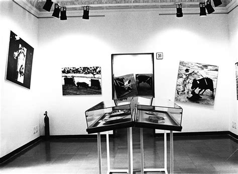 Tauromaquia Museo Picasso Barcelona Web Oficial