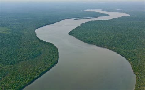 Amazon River South Americas Iconic Waterway River In The Amazon