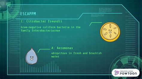 What Is The Escappm Bacteria And Which Antibiotics To Choose Youtube