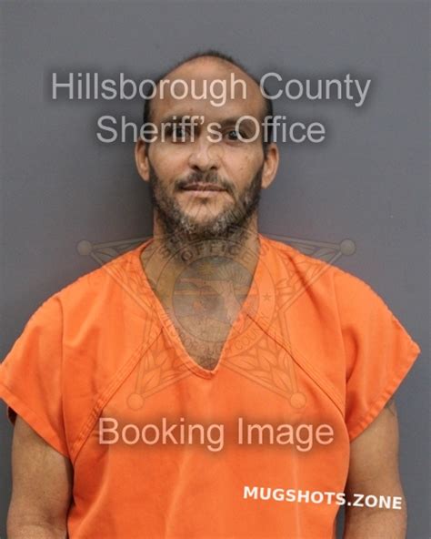 Lezcano Borras Santiago 09 17 2025 Hillsborough County Mugshots Zone