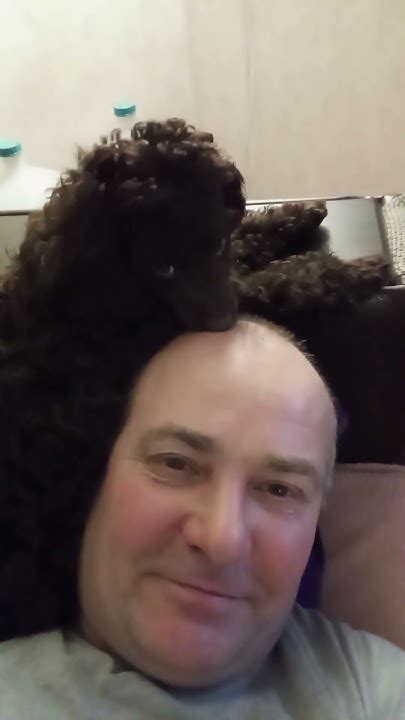 Той пудель АСик и ТВ Youtube