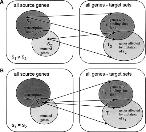 From Gene Networks To Gene Function