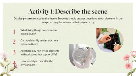 The Reproductive Function In Plants Presentation