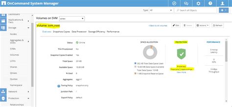 Remote Infrastructure Management Ontap 9 3 Svm Root Volume Protection
