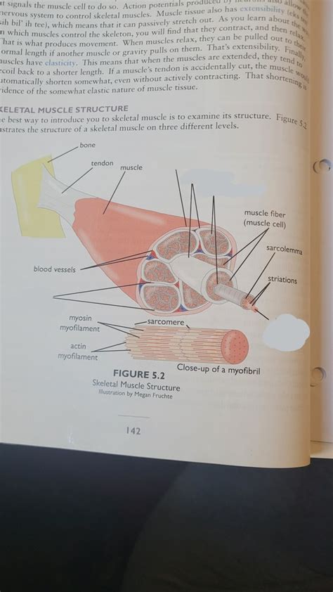 Blology Study Gide Diagram Quizlet