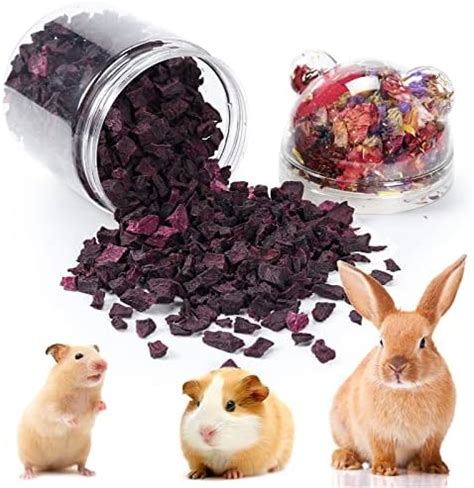Hgpoklvt Hamster Rabbit And Chinchilla Snacks Purple
