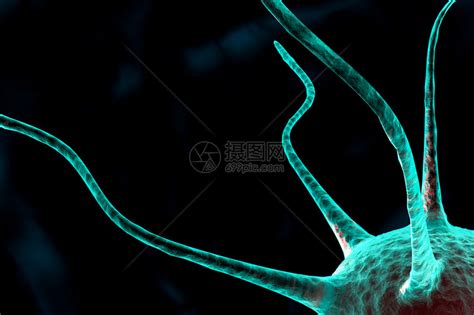 3d神经细胞图图片素材 正版创意图片402302974 摄图网