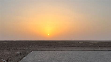 Mamman Ali Son Of Ex Pdp Chair Jailed 14 Years For N22bn Subsidy