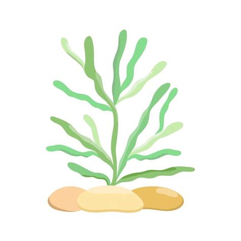 Seagrass Vector Art Icons And Graphics For Free Download