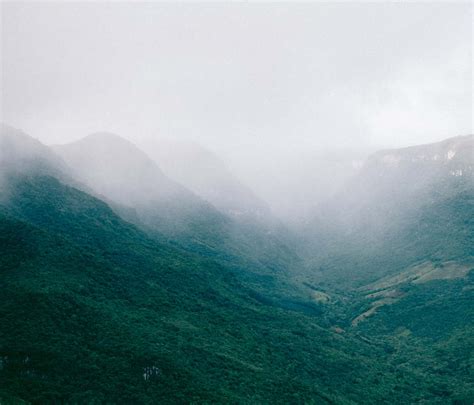 Brazil Olle Holmberg