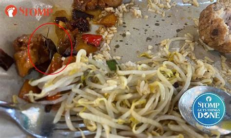 Diner Finds Cockroach In Economy Rice Sfa Taking Action Against Clementi Stall For Non