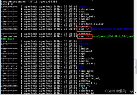 Linux 服务器进程、端口查找，nginx 配置日志查找，lsof 命令详解lsof I端口号 Csdn博客