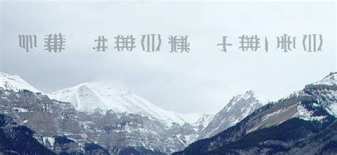 Code Des Samouraïs Go Scouts