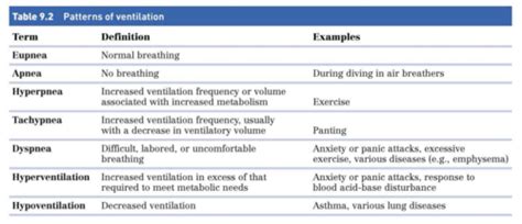 Lecture 15 Flashcards Quizlet