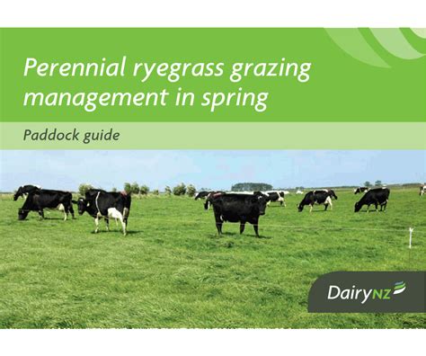 Feed Resources And Tools Dairynz