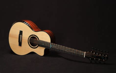 10 String Guitars — Ryan Guitars