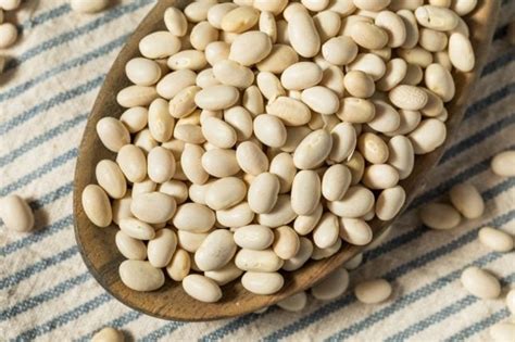 Haricots Blancs Valeurs Nutritionnelles Bienfaits Recettes