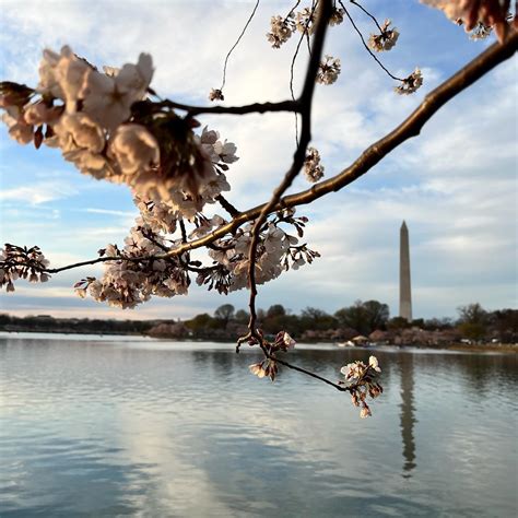 Ariels Workout Journey