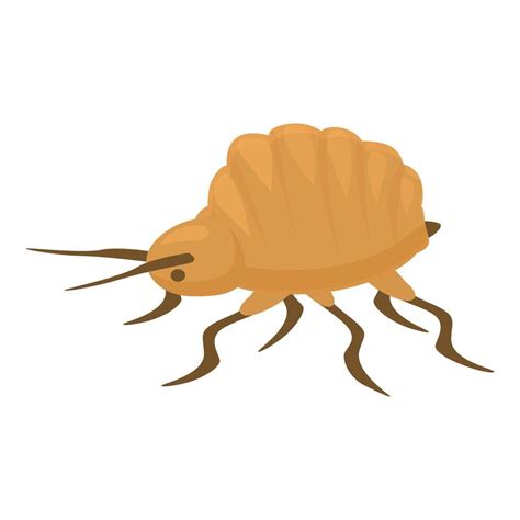 Flea Insect Is Crawling On The Ground 47563179 Vector Art At Vecteezy