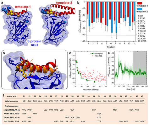Modeling Of Peptide Rbd Complexes A Complexes Of S Protein Rbd Blue Download Scientific