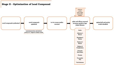Optimization Of Lead Compound Gilga Med Inc