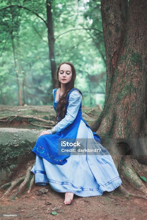 Wanita Cantik Dengan Gaun Abad Pertengahan Biru Duduk Foto Stok Unduh Gambar Sekarang Istock