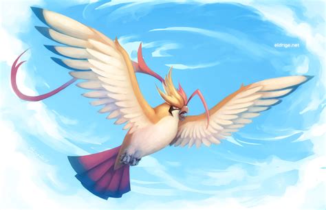 Mega Pidgeot By Eldrige On Deviantart