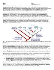 Phylogeny Lab V Pdf Name Section Date Lab Phylogenetics Background Phylogeny Is The