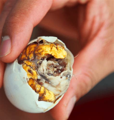 Balut The Surprising Delights Of The Philippines Famous Egg Delicacy