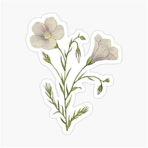 Aesthetic Flower Sticker For Sale By Max Sdch Vintage Flowers