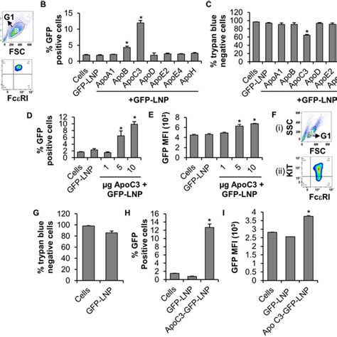 Cryo Tem Analysis Of Lnps A Cryo Tem Analysis Of No Dna Dodma Lnp Download Scientific