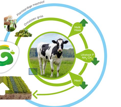 Grassa Zoekt Voor Graslogistiek Hulp Van Loonwerker Cumela