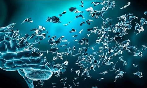 Cilat Janë Pesë Fazat E Alzheimerit Sëmundje E Harresës