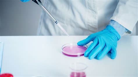 Epigenetics Vs Genetics