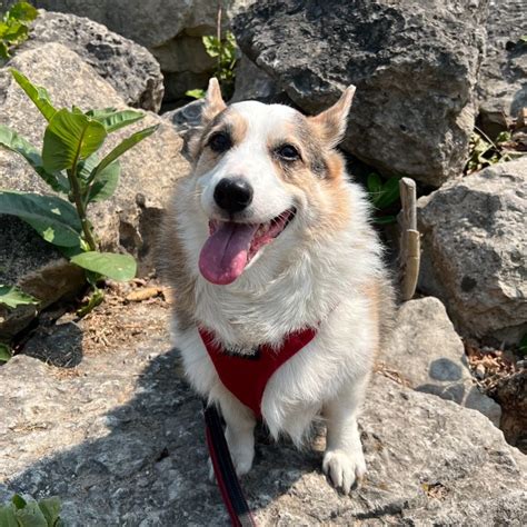 Alejandra O On Linkedin Hello Friends Colleagues And Connections Im Reaching Out For Your