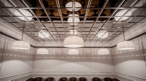 17 Types Of Ceiling Materials For Your Space Opple House