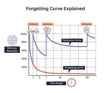 Forgetting Curve Explained Graph Of Memory Decay Across Days Reviews