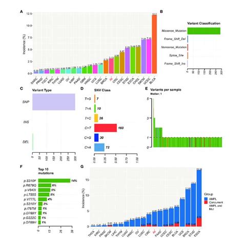 Summary Of Her2 Mutation In Solid Tumors A Incidences Of Her2 Download Scientific Diagram