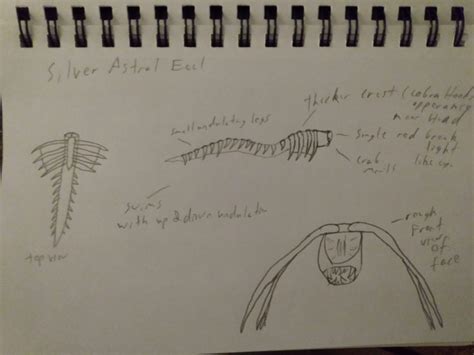 Silver Astral Eel By Rhuen1 On Deviantart