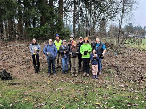 Ivy And Holly Removal At Dirksen Nature Park At Dirksen Nature Park Tigard On 28th February 2026