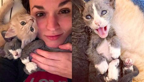 Amanda Kruczynskis Instagram Facebook And Tiktok On Idcrawl