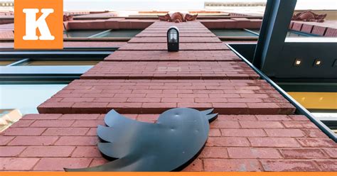 Mediat Elon Muskin Mylläämä Twitter Pyytää Nyt Osaa Potkut Saaneista