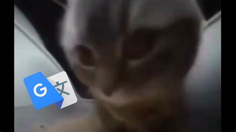 Chipi Chipi Chapa Chapa Song English Translation And Lyrics Youtube